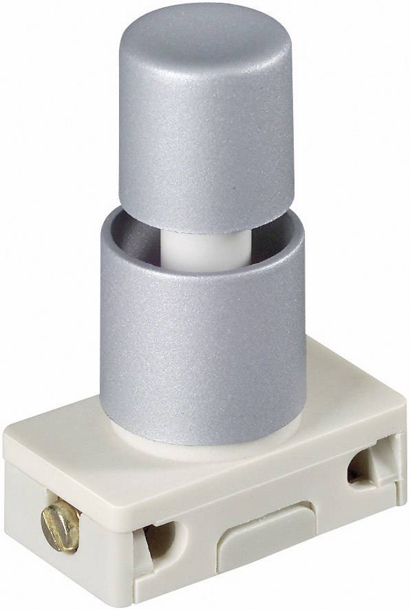 3030-611.81 prekidač na pritisak (uklopni) siva 250 V/AC