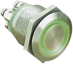 Bulgin LED antivandal taster legirani čelik 24 V/DC