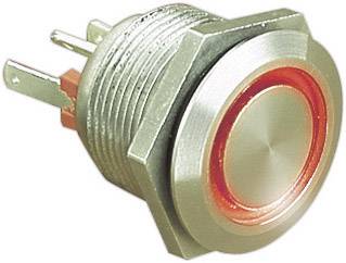 Bulgin LED antivandal taster legirani čelik 24 V/DC