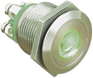 Bulgin LED antivandal taster legirani čelik 24 V/DC