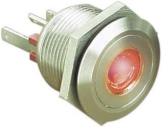 Bulgin LED antivandal taster legirani čelik 24 V/DC