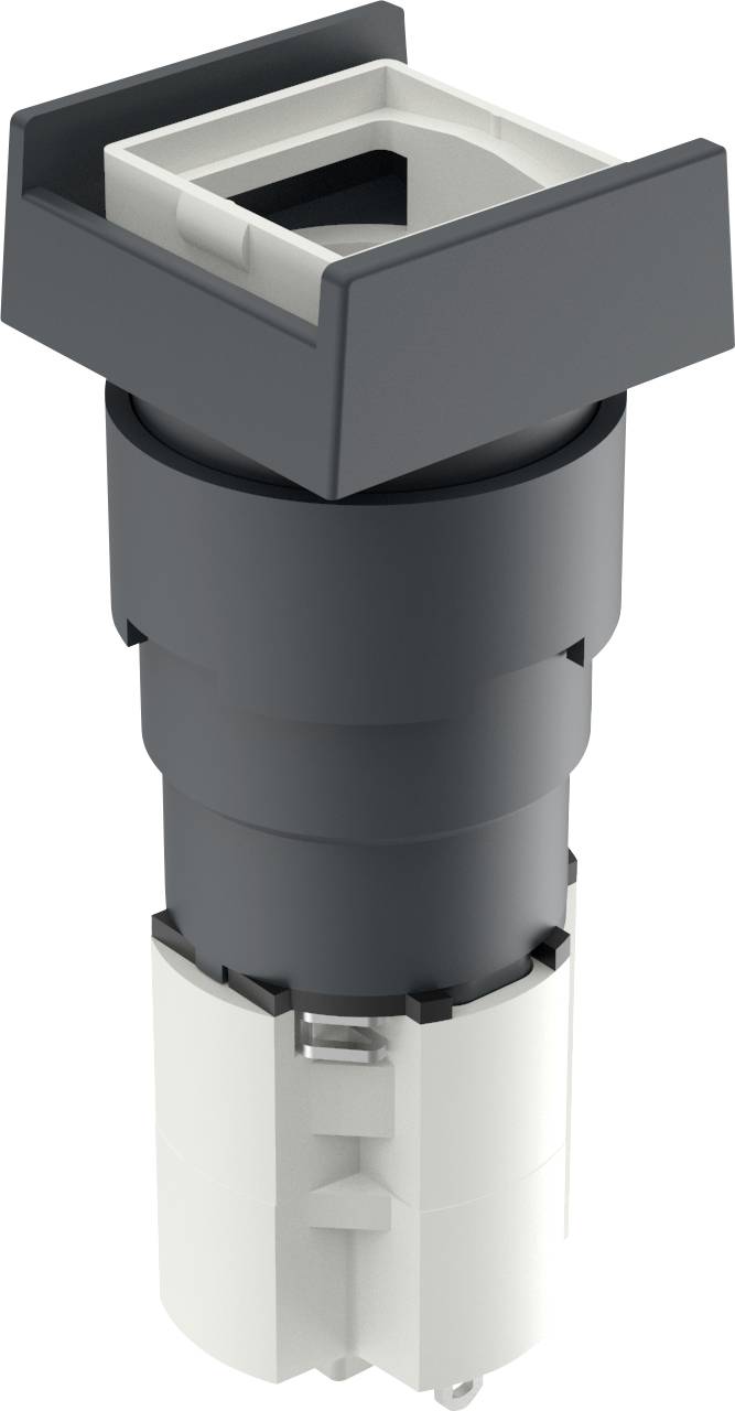 RAFI LUMOTAST 75 osvetljeni taster 230 V