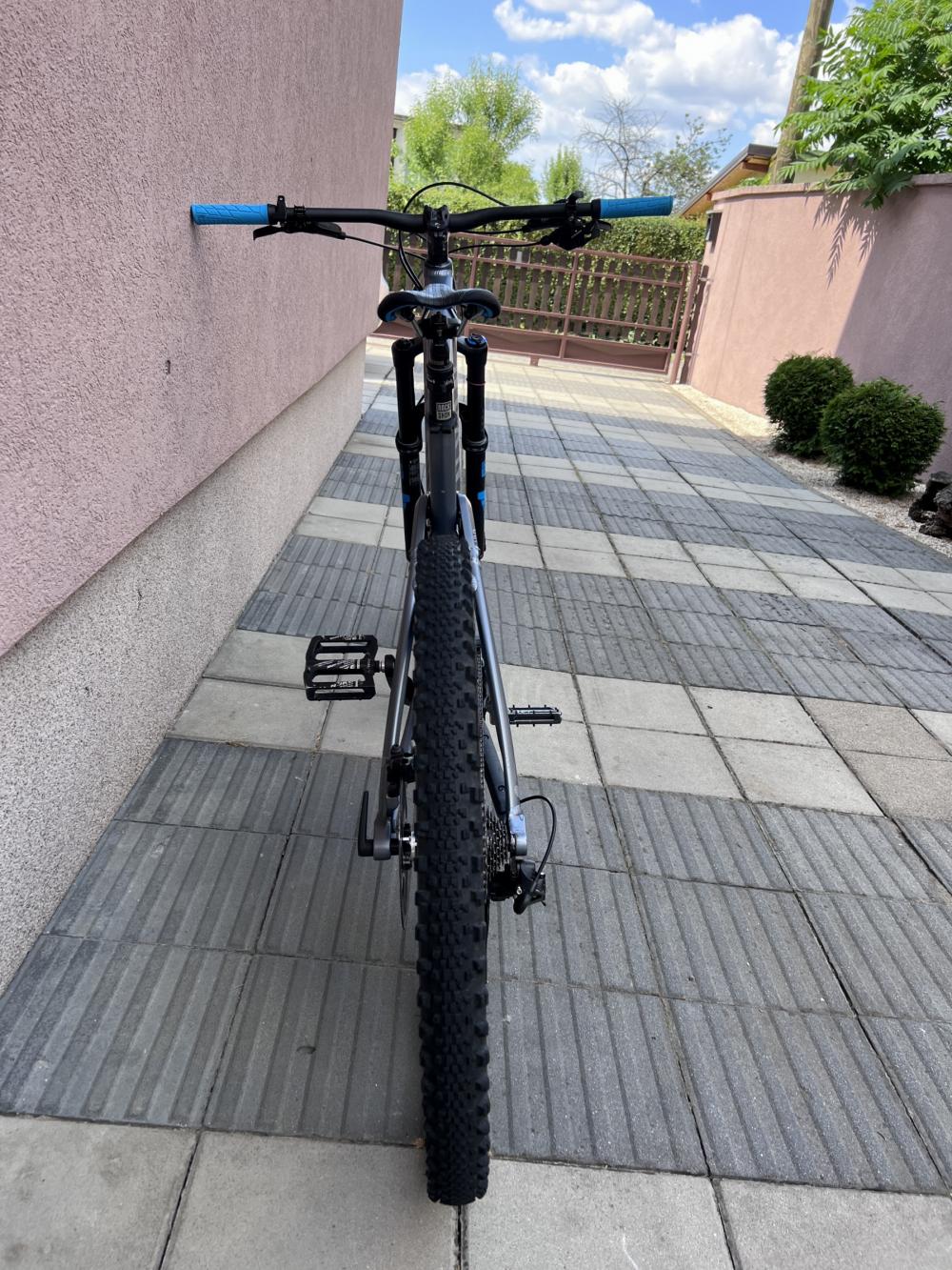 Canyon Strive Al Nov