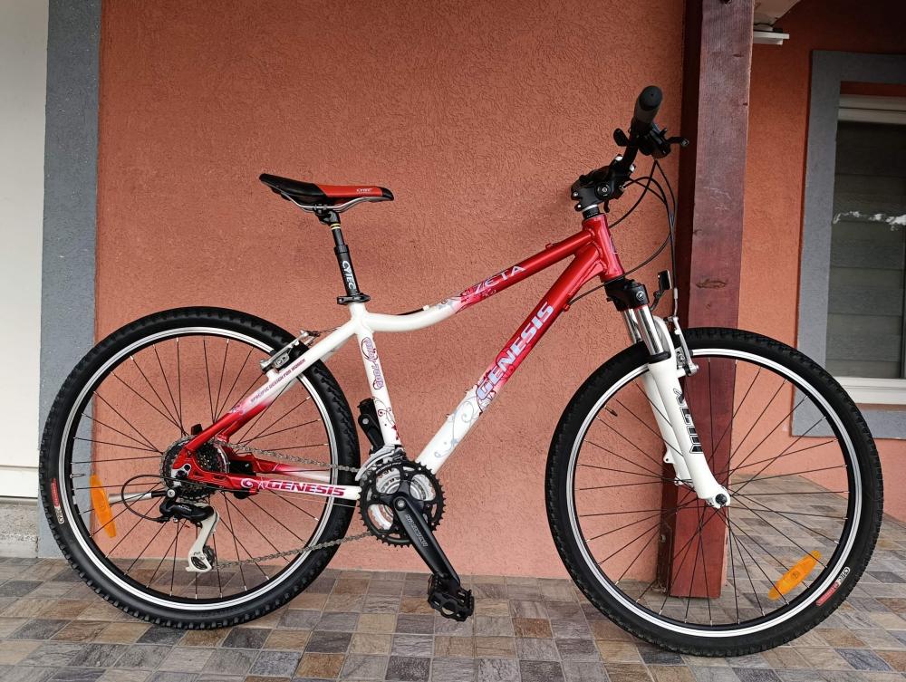 Ali Zeta Genesis 26