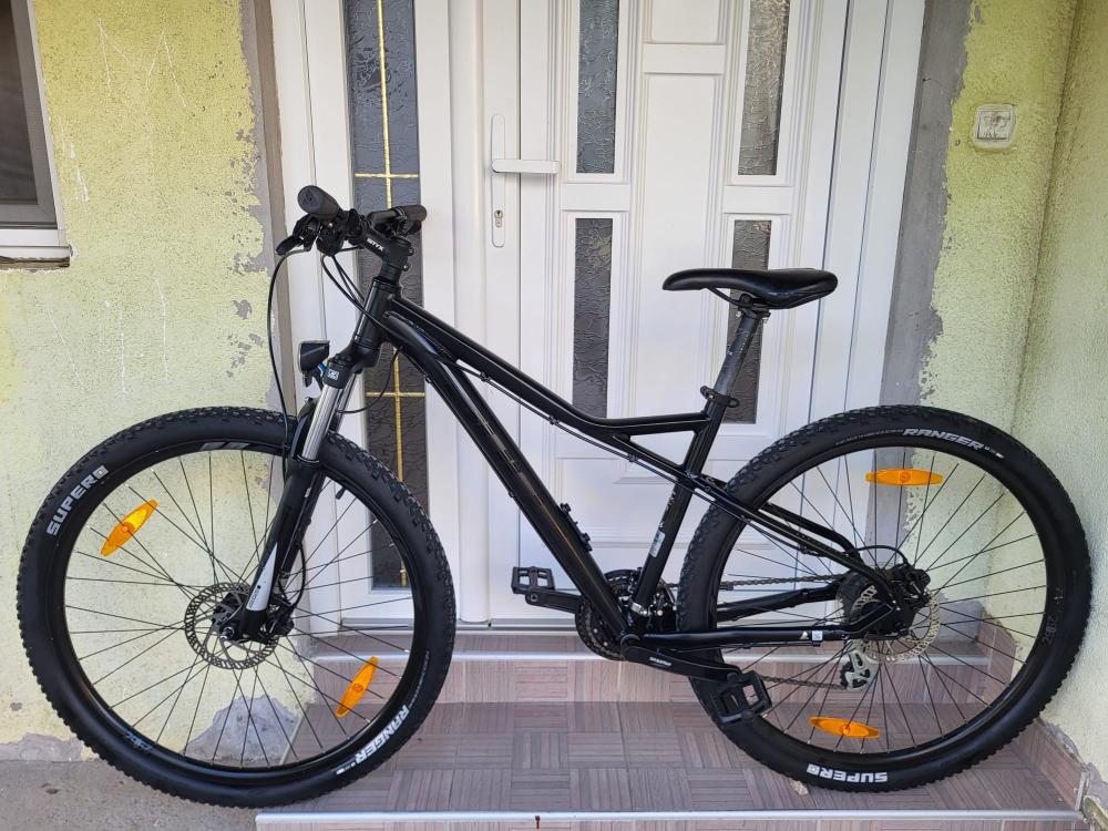 Bulls SHARPTAIL street3 29R