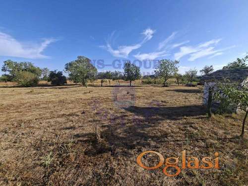Plac na prodaju Kovilj 3891m2