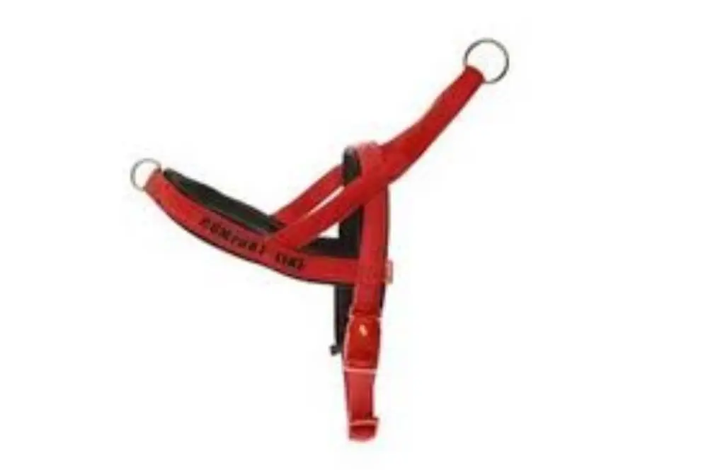 Ferribiella Am za pse Trekking Fuss-comf 25mm, Crveni