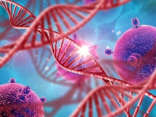 Priprema za prijemni ispit iz Biologije