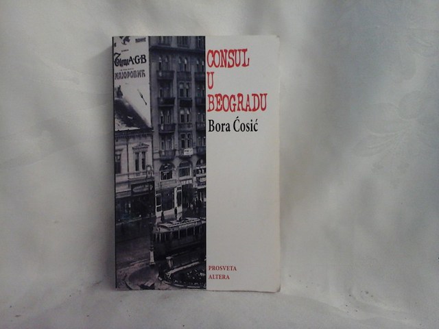 Consul u Beogradu Bora Ćosić