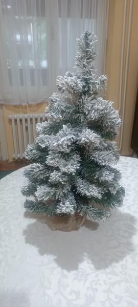 Jelka
Sombor