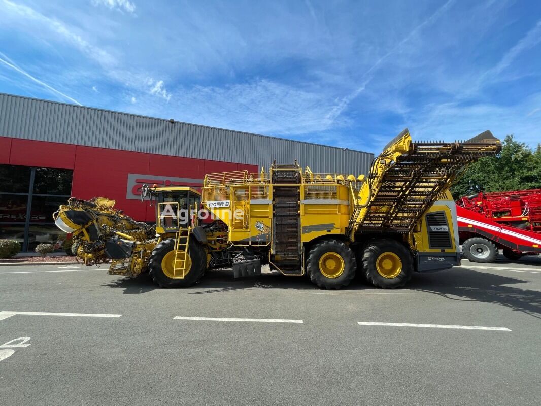 Ropa TIGER 6 kombajn za repu
