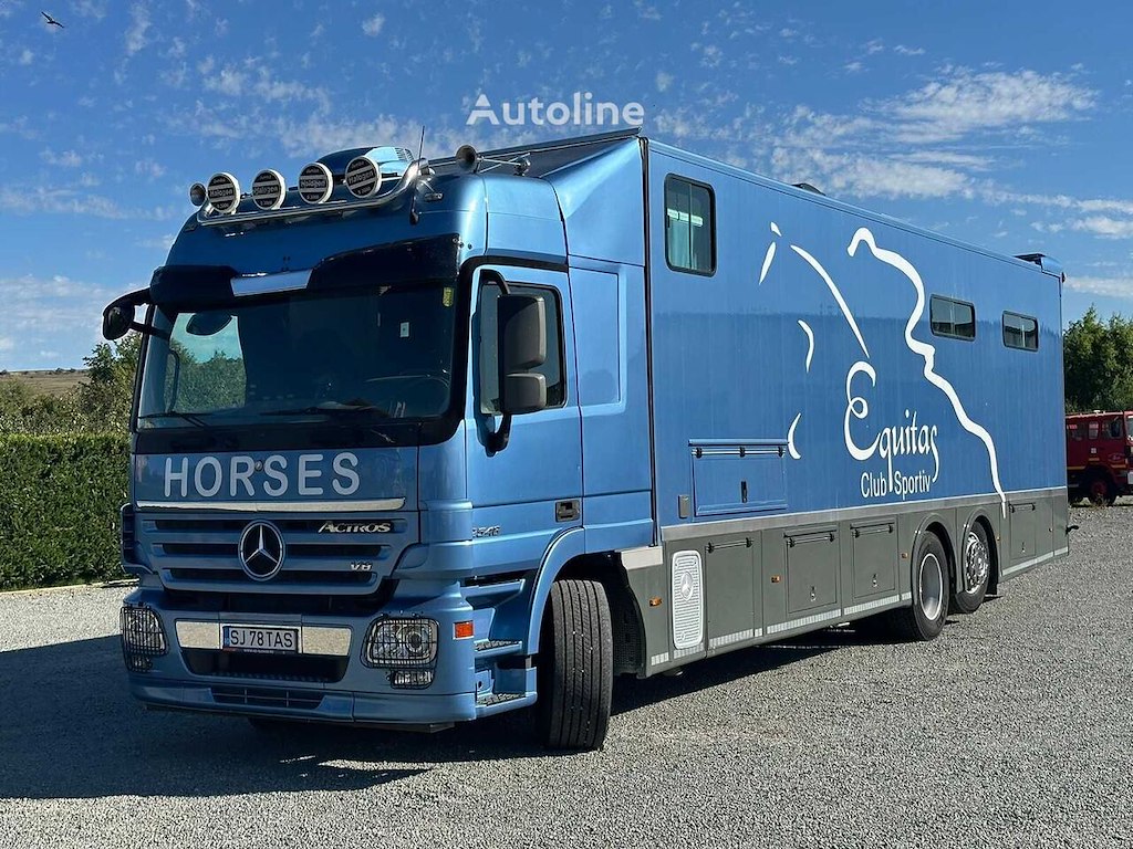 Prodaje se Mercedes-Benz 2541 kamion za prevoz konja na aukciji