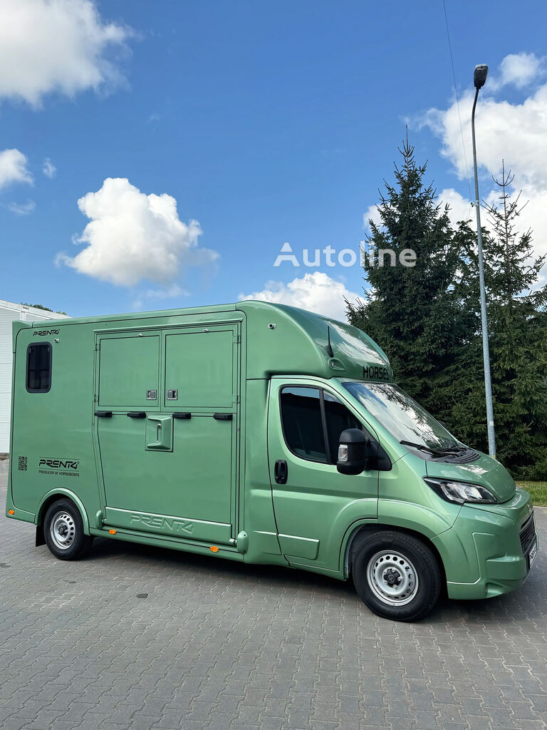 Novi Toyota PROACE MAX vozilo za prevoz konja
