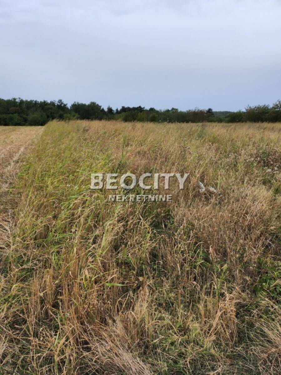 Plac, Beograd – Sremčica | Prodaja · 7900m² · 293.160€