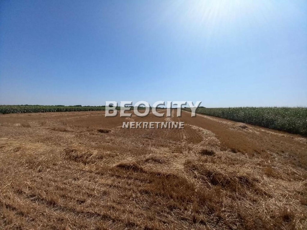 Plac, Stara Pazova – Krnješevci | Prodaja · 13000m² · 700.000€