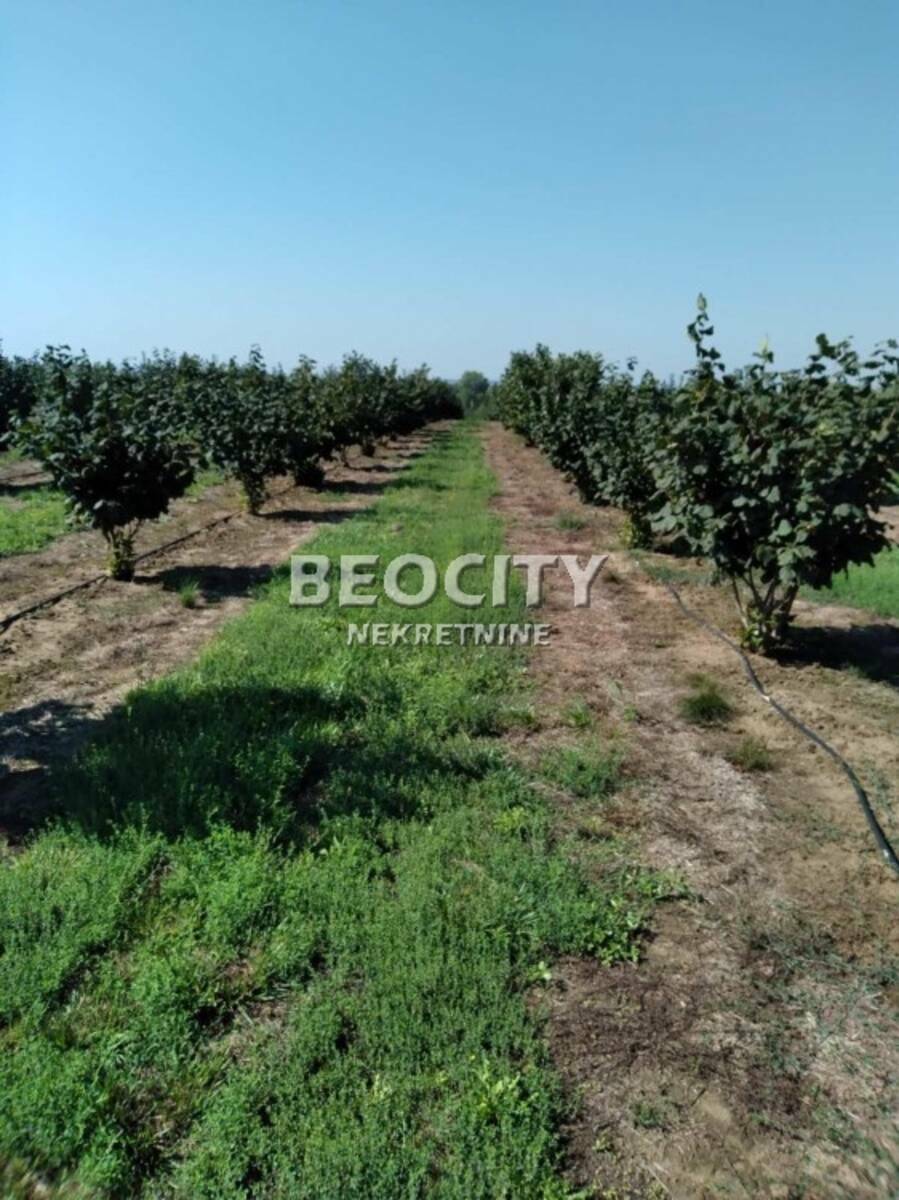 Plac, Pančevo | Prodaja · 38500m² · 220.000€