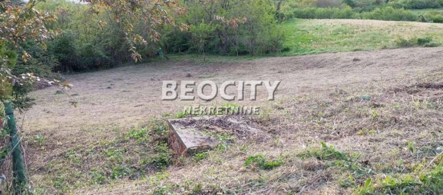 Plac, Irig – Krstašice | Prodaja · 3000m² · 50.000€