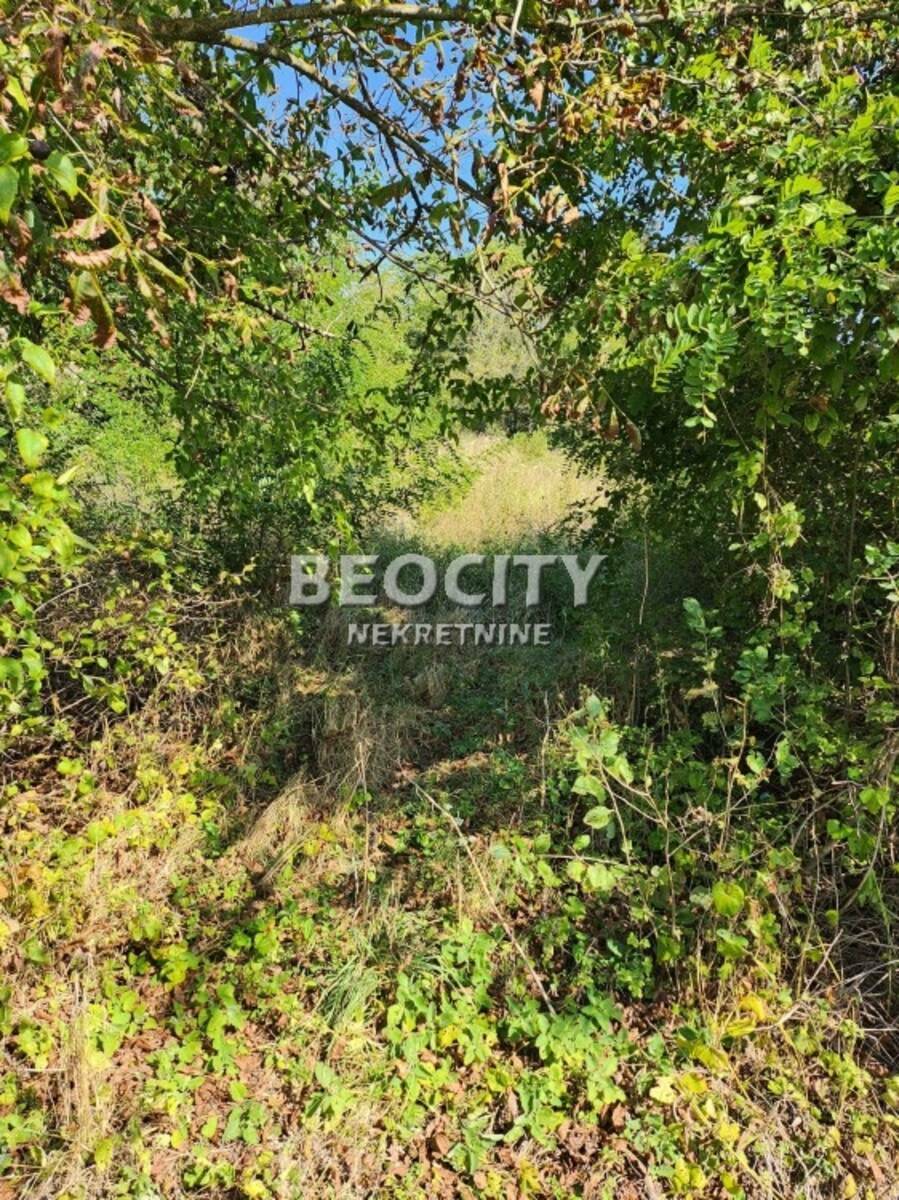 Plac, Beograd – Popović | Prodaja · 2600m² · 36.000€