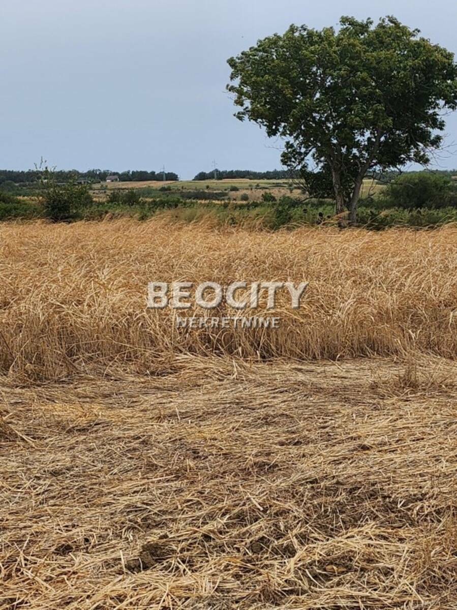 Plac, Beograd – Sremčica | Prodaja · 10000m² · 400.000€