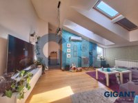 OPŠTINA ZEMUN Šumadijska-Zemun ID: 9807739