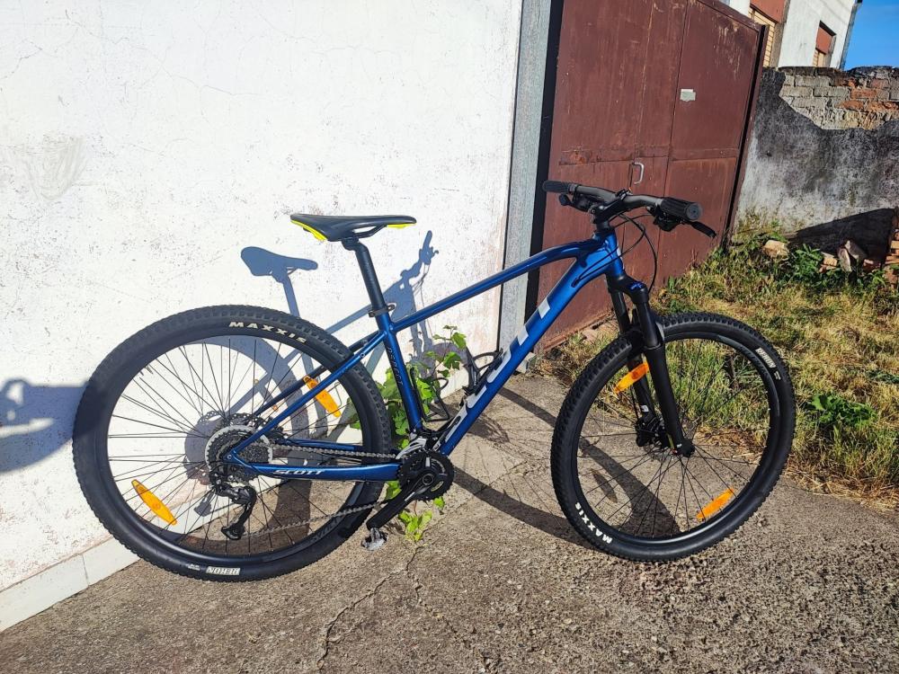 Scott aspect 29 2022