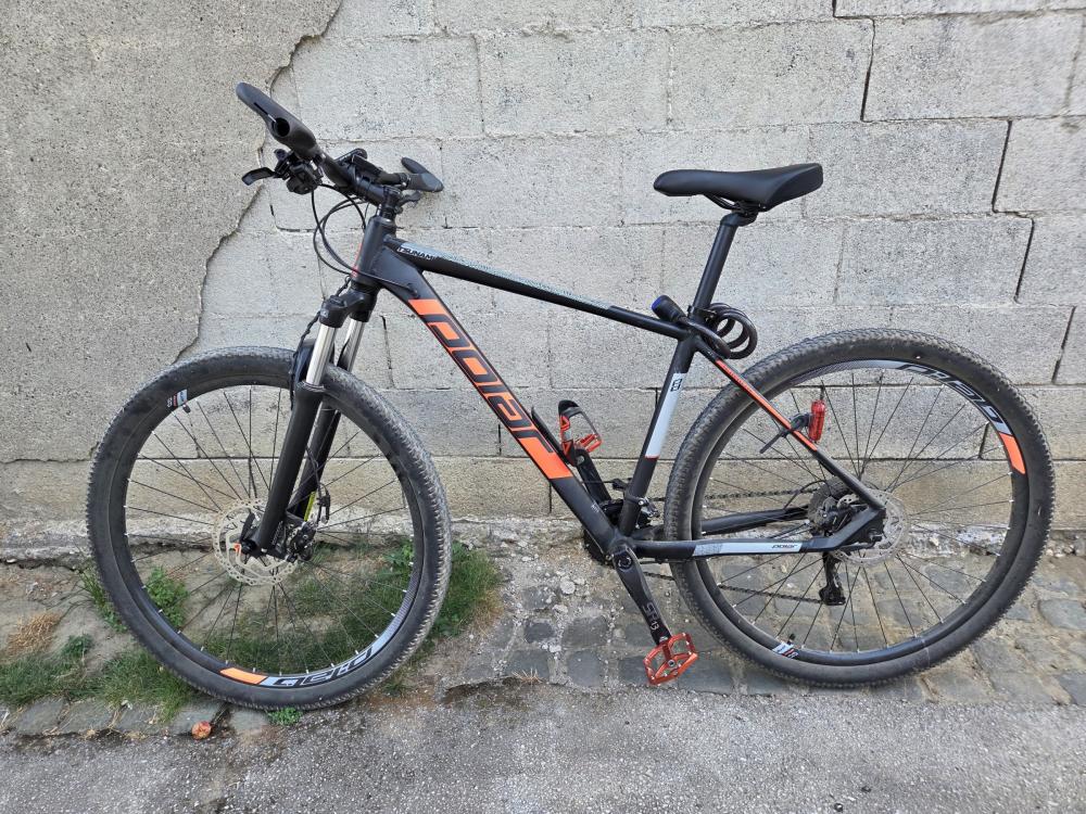 Polar Tsunami 29"