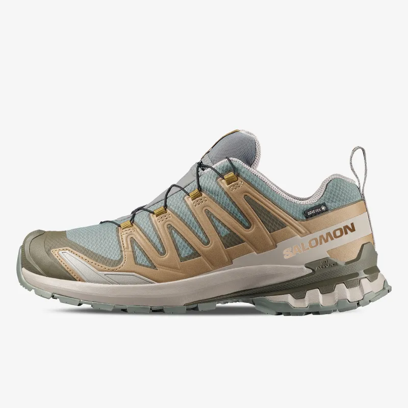 Salomon XA Pro 3D V9 GTX