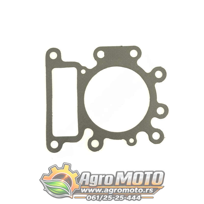 Dihtung glave Briggs & Stratton 21A707 21A807 21A877 21A977 21B807
