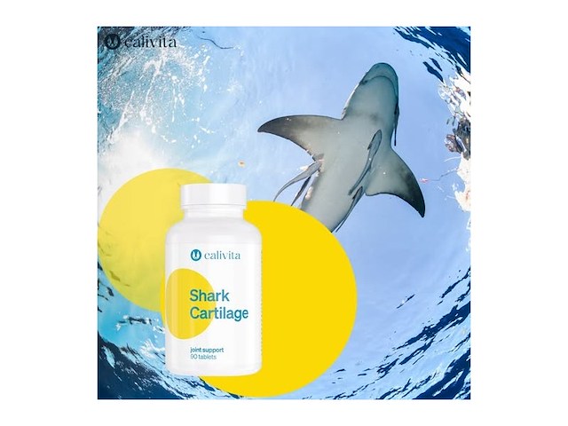 Ajkulina hrskavica Shark Cartilage 90 tab.