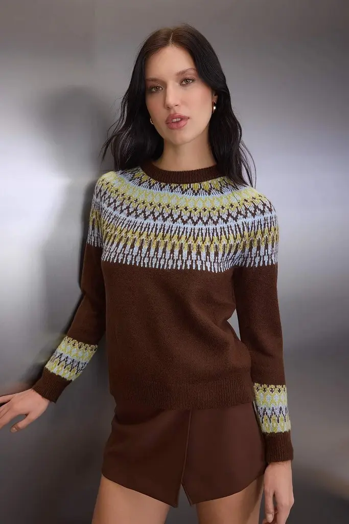 Trendyol Milla ženski duks Twoaw26Kz00194, braon-braon