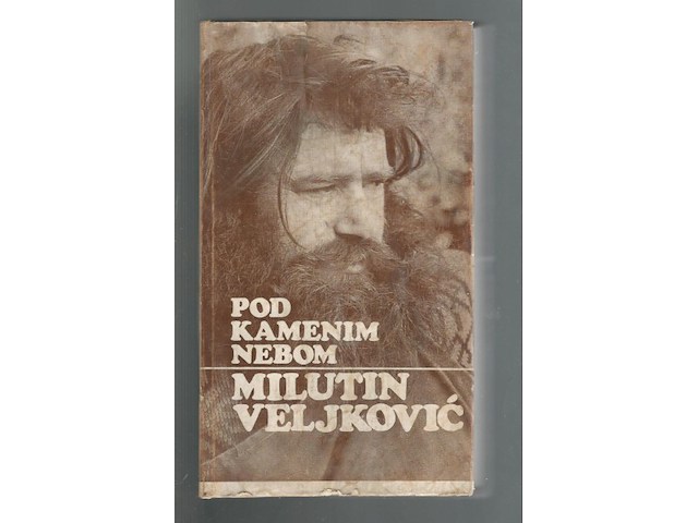 Pod kamenim nebom Milutin Veljković