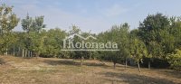 Plac u Nemenikućama, Kosmaj, Sopot ID#6726