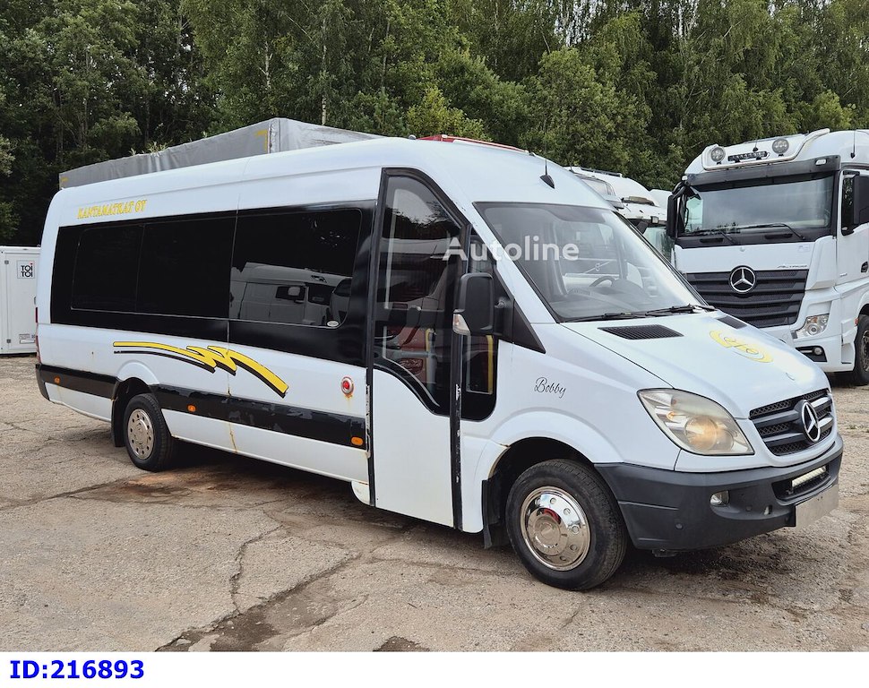 Mercedes-Benz Sprinter 516 turistički autobus