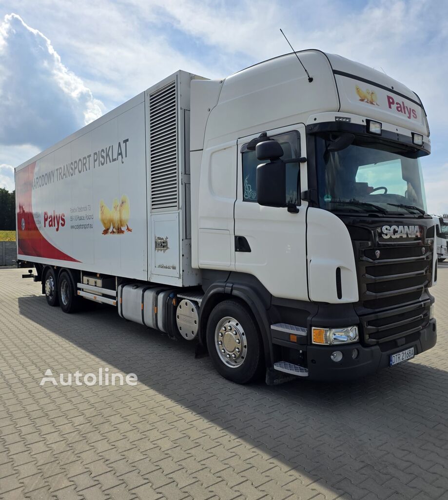 Scania R 440 vozilo za prevoz ptica