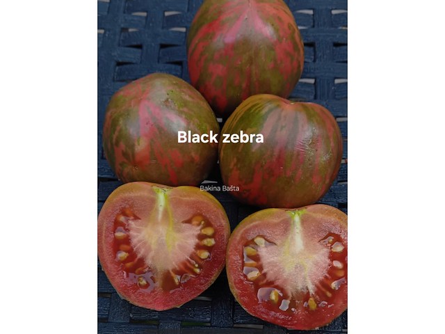 BLACK ZEBRA CHERRY 10 semena