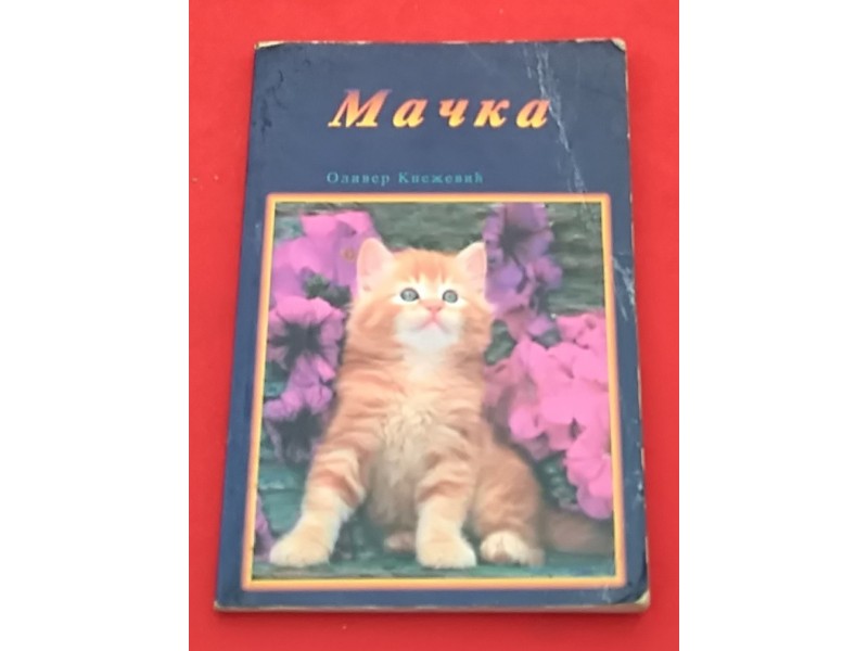 Mačka Olivera Knežević