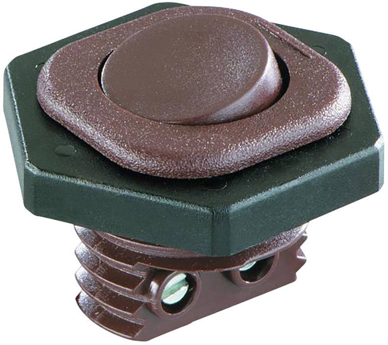 InterBär 8014-001.01 njihajući taster (klackalica) rjava 250 V/AC