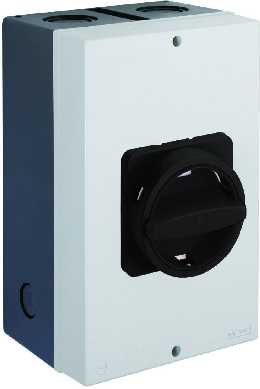 Sälzer H408-41300-730N1 glavni prekidač 80 A