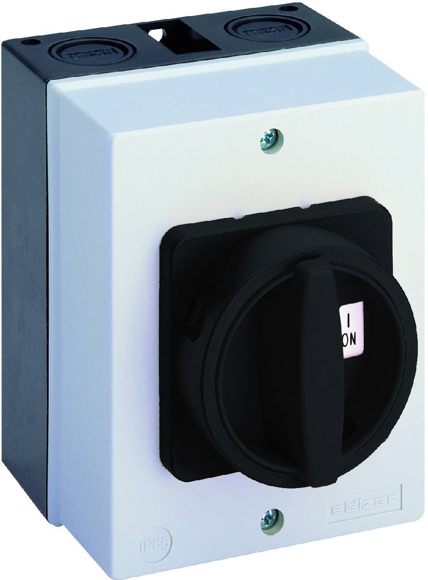Sälzer H216-41300-700N1 glavni prekidač 20 A