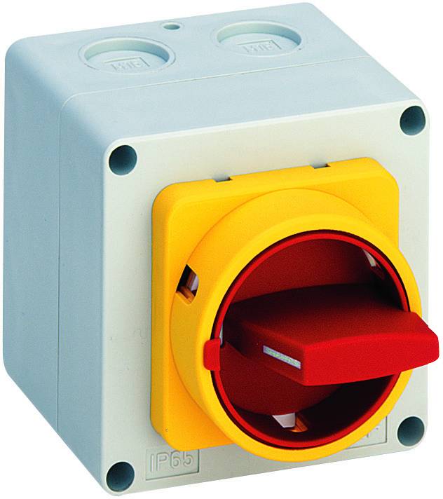 Sälzer M220-61199-117M4 prekidač isklopnog tipa (odmični) 20 A