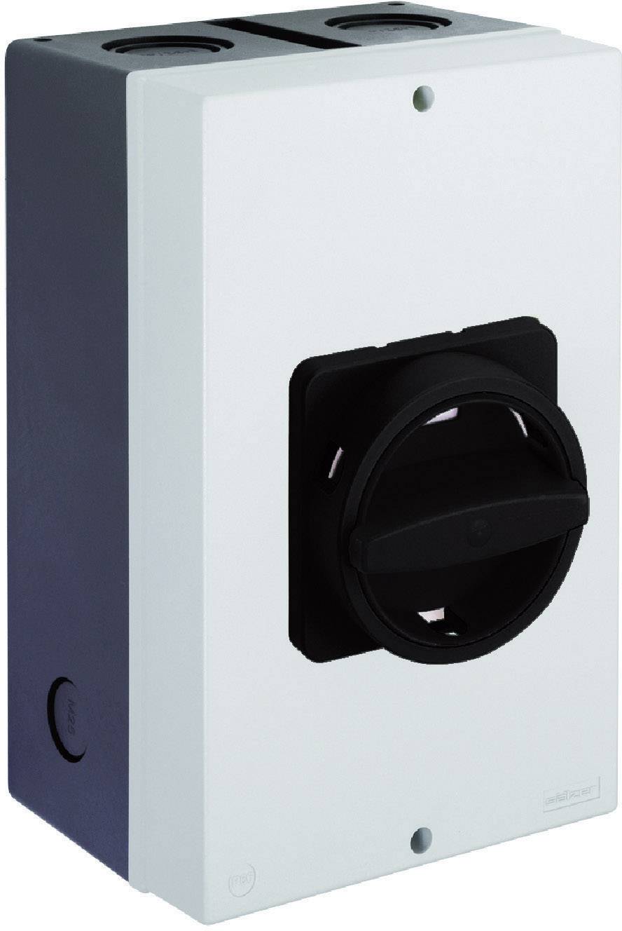 Sälzer D242-85200-761N1 glavni prekidač 20 A, 1000 V