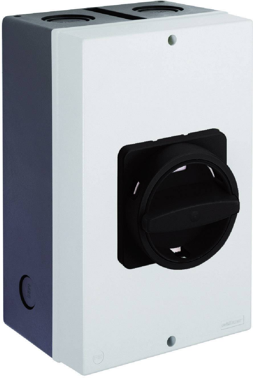Sälzer D242-84200-761N1 glavni prekidač 20 A, 1000 V