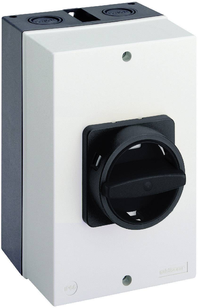 Sälzer D241-89300-710N1 glavni prekidač 32 A, 1000 V