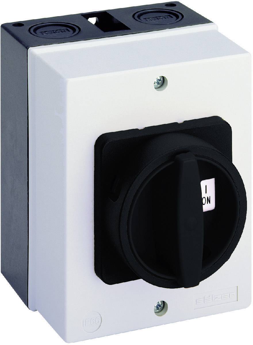 Sälzer D241-83200-700N1 glavni prekidač 20 A, 1000 V