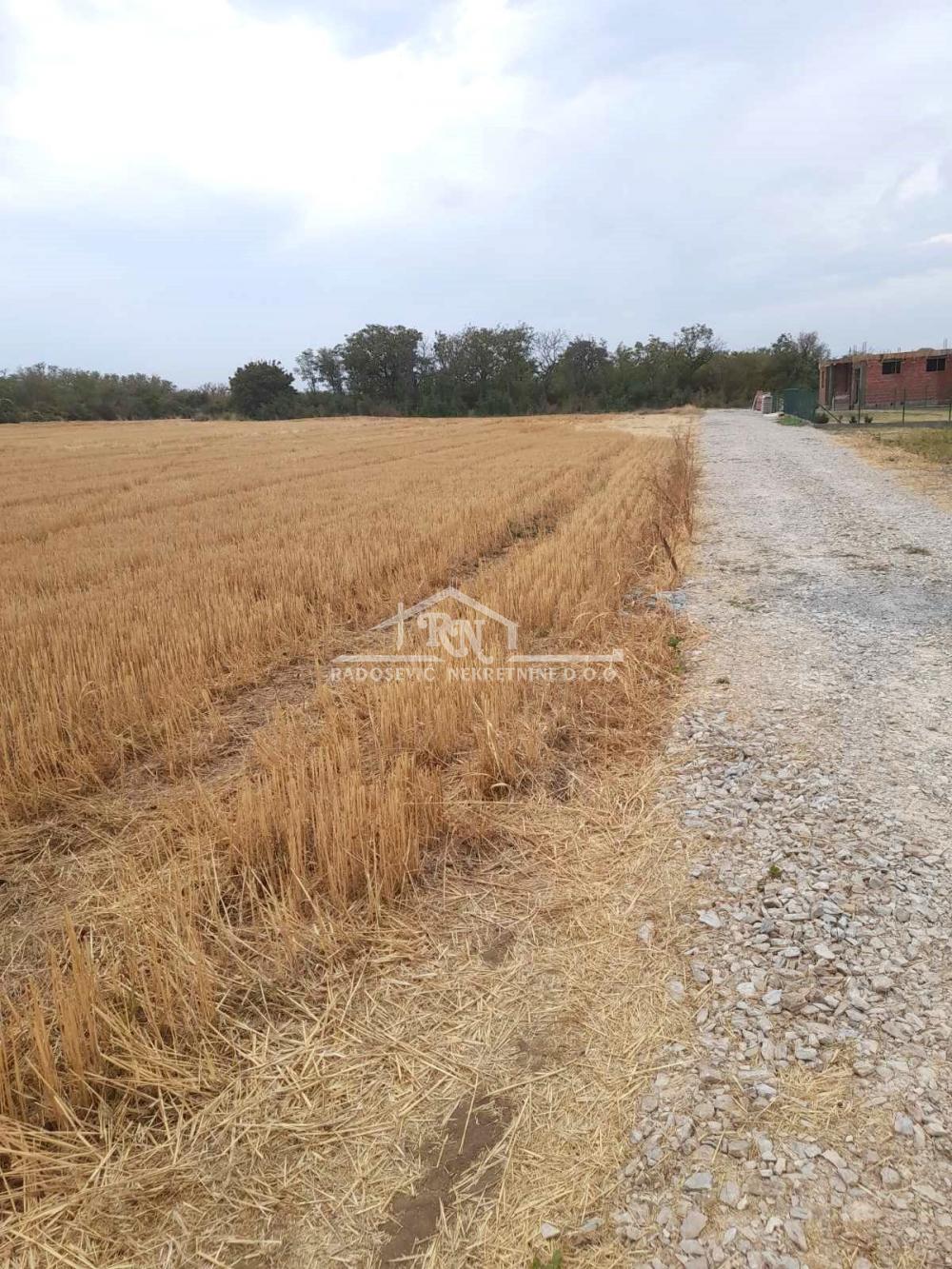Čukarica, Savska terasa, Stari lanci, 6 ari ID#1706
90.000 €
