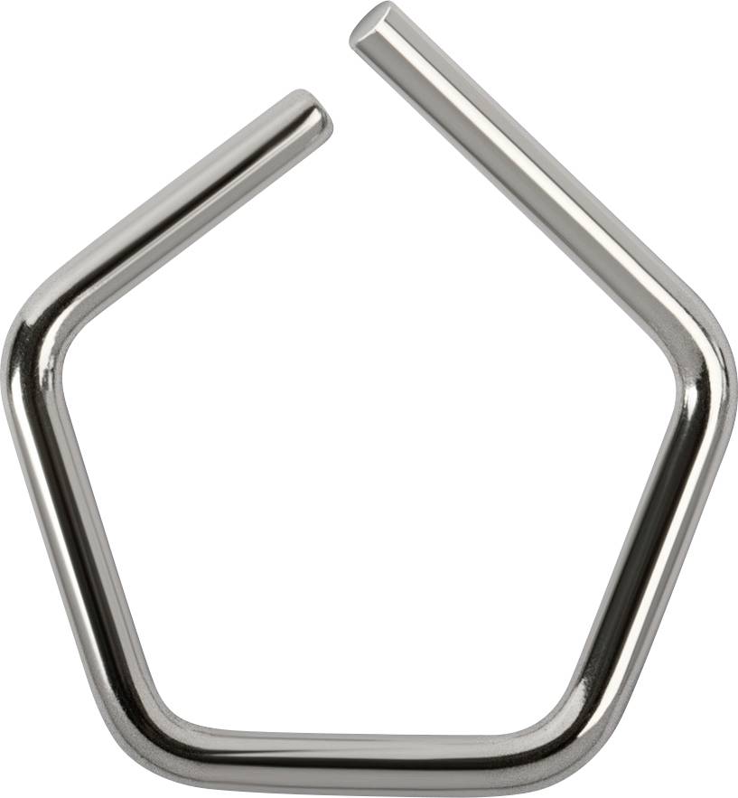 Kern F1 etalonski teg klasa F1 500