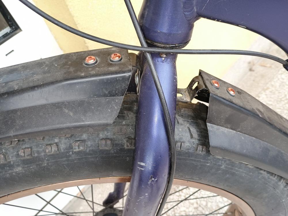 Fat Bike