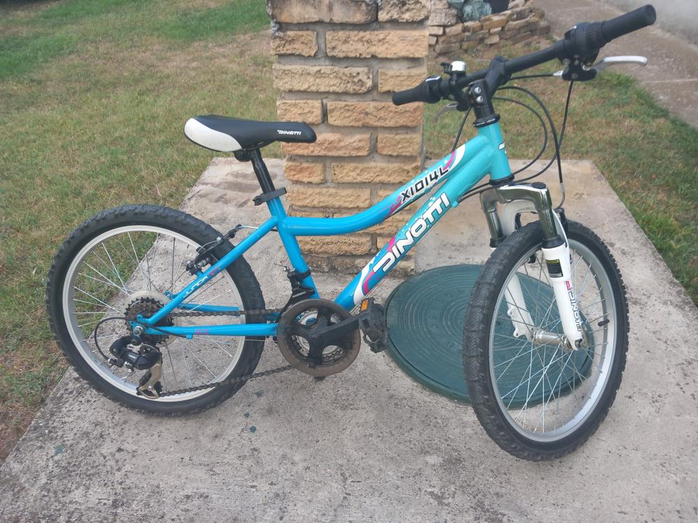 Dinotti 20"