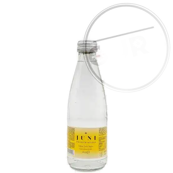 Tonik Indian water Juni 93 0.25 l