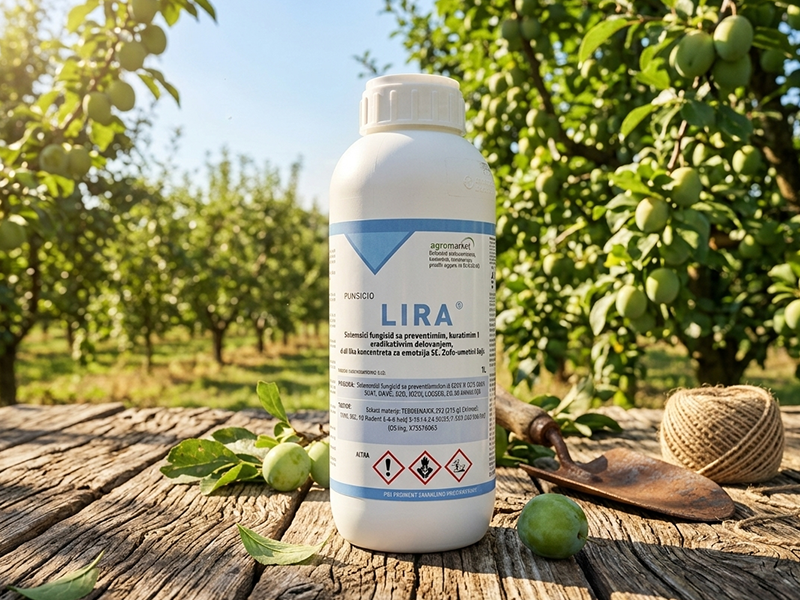 Lira